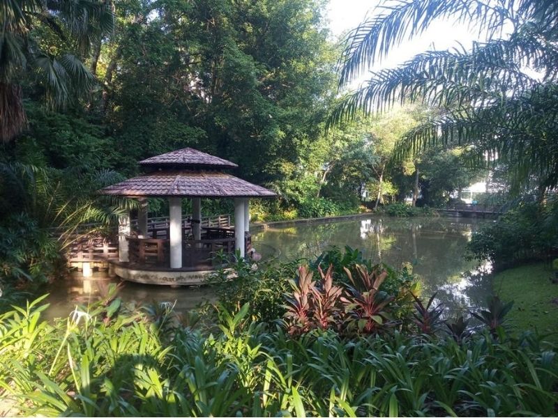 Beautiful Estate Garden Pond