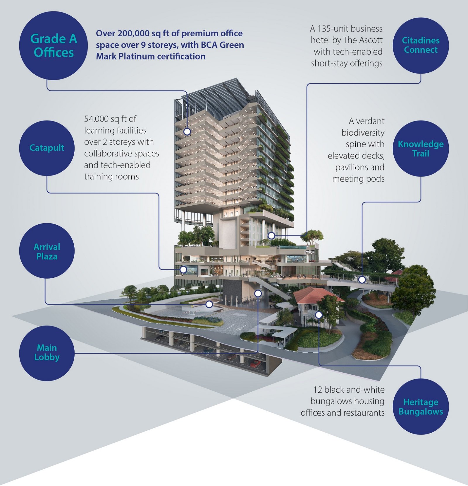 Rochester Commons: Inspired by Many, Bespoke to You
